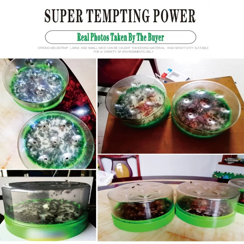 BowLift | Fly Trap EcoTrap 7 | Reusable & Non-toxic | Without ...